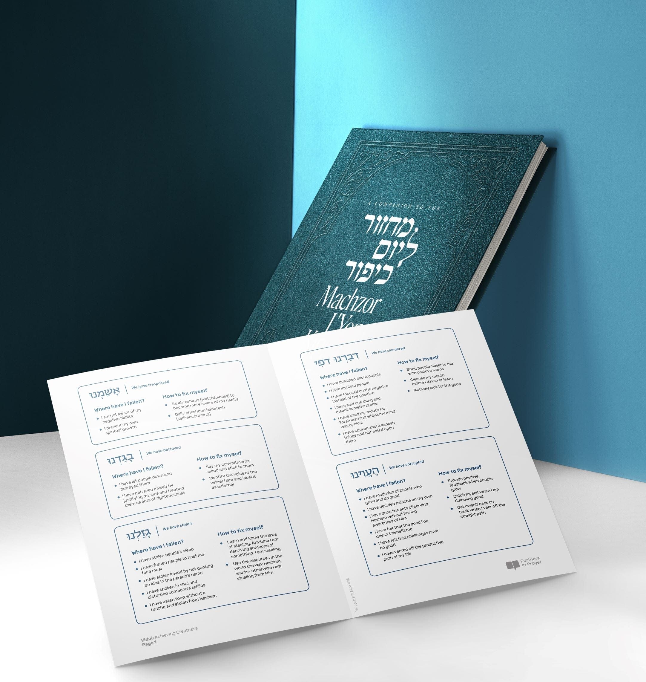 Vidui: Achieving Greatness - Updated Booklet - DIGITAL PDF – Partners ...